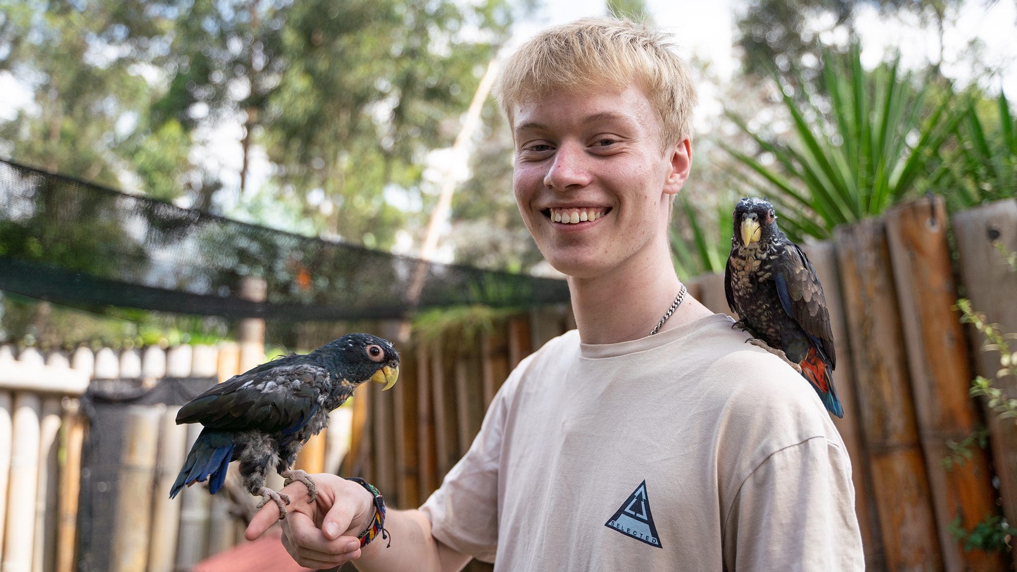 Ecuador Bird Volunteers | #1 Affordable Programs Abroad