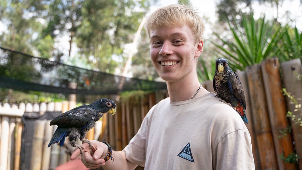 Wildlife Volunteer Projects | #1 Affordable & Trusted Programs