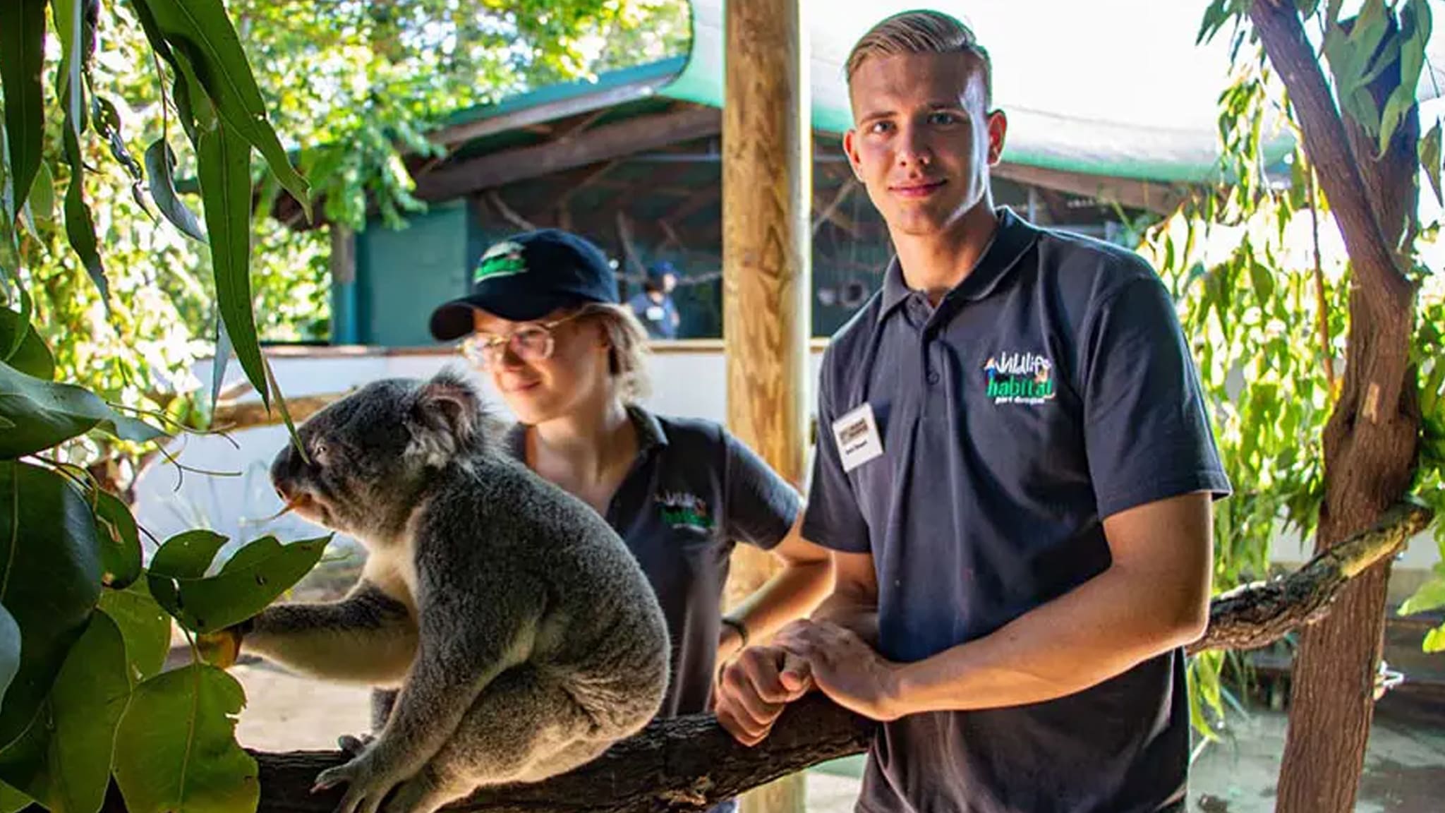 Wildlife Volunteer Projects | #1 Affordable & Trusted Programs